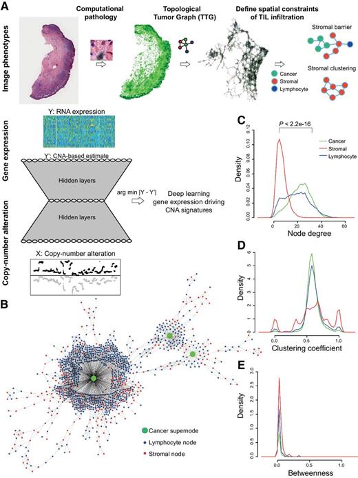 Topological Tumor Graphs: A Graph-Based Spatial Model to Infer Stromal ...
