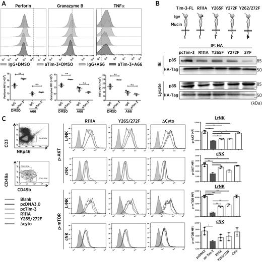 Tim-3 Hampers Tumor Surveillance of Liver-Resident and Conventional NK ...