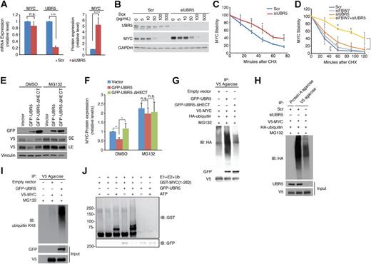 UBR5 Is Coamplified with MYC in Breast Tumors and Encodes an Ubiquitin ...
