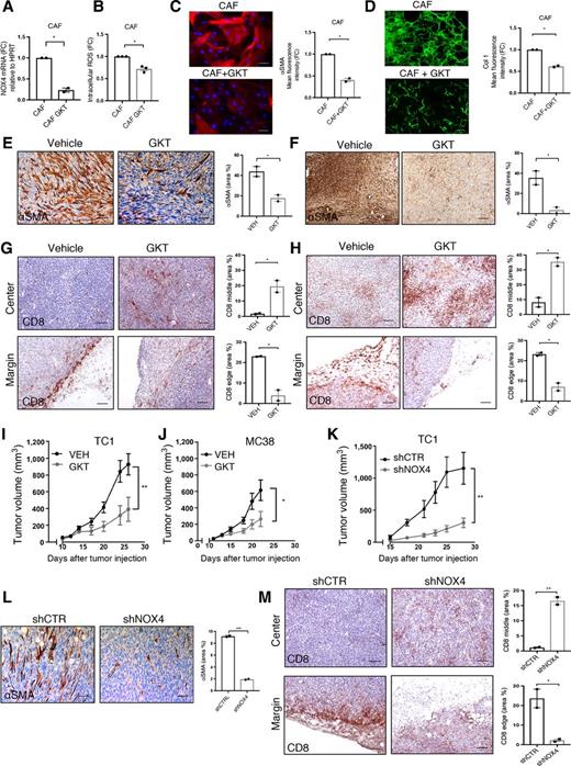 NOX4 Inhibition Potentiates Immunotherapy by Overcoming Cancer ...