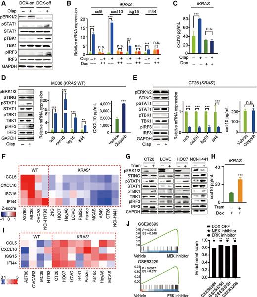 MEK Inhibition Remodels the Immune Landscape of Mutant KRAS Tumors to ...