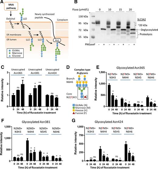 Mevalonate Pathway Inhibition Slows Breast Cancer Metastasis via ...