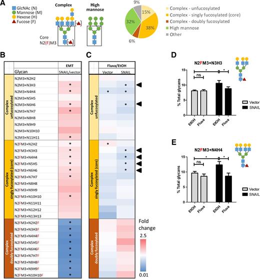 Mevalonate Pathway Inhibition Slows Breast Cancer Metastasis via ...