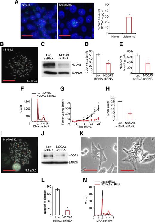 Nuclear Receptor Coactivator NCOA3 Regulates UV Radiation–Induced DNA ...