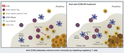 Fc-Optimized Anti-CCR8 Antibody Depletes Regulatory T Cells in Human ...