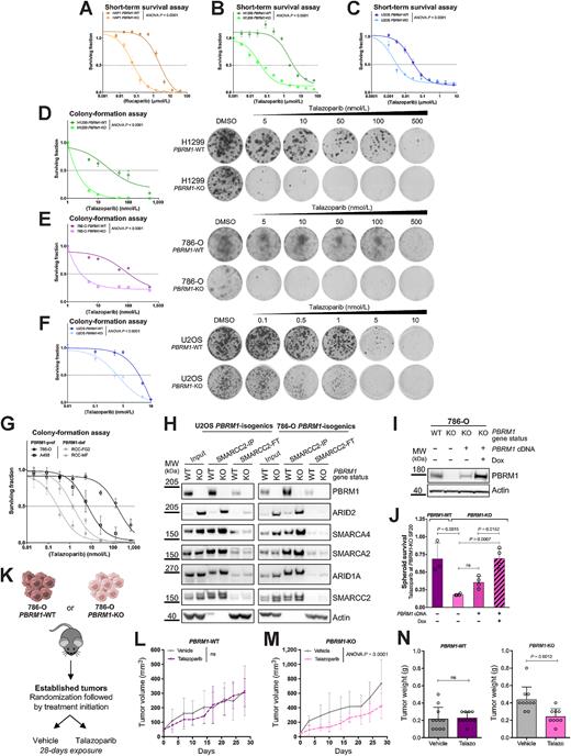 PBRM1 Deficiency Confers Synthetic Lethality to DNA Repair Inhibitors ...