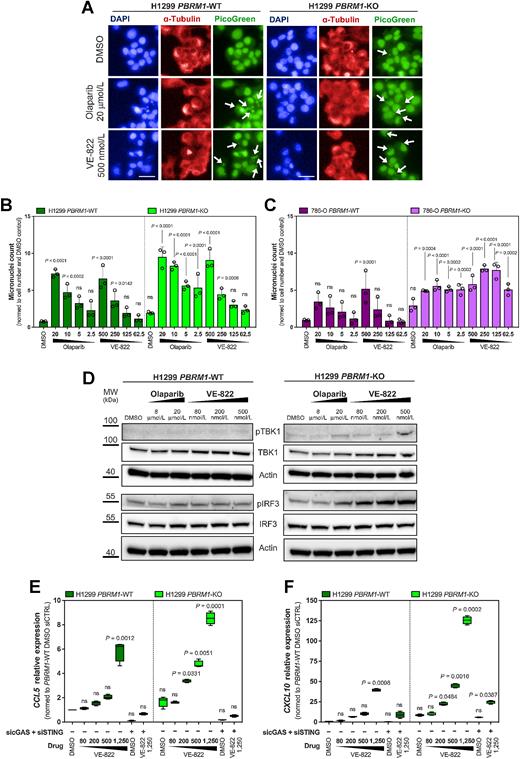 PBRM1 Deficiency Confers Synthetic Lethality to DNA Repair Inhibitors ...