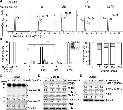 Afatinib Exerts Immunomodulatory Effects by Targeting the Pyrimidine ...