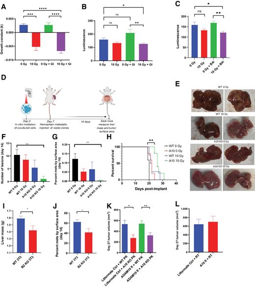 Induction of ADAM10 by Radiation Therapy Drives Fibrosis, Resistance ...