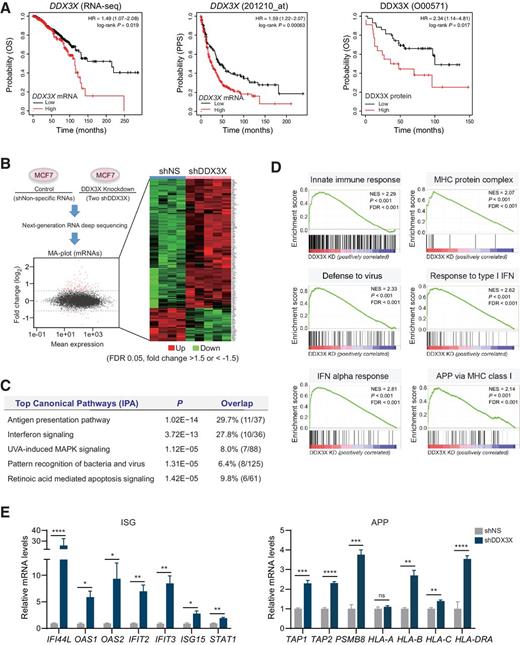 Targeting DDX3X Triggers Antitumor Immunity via a dsRNA-Mediated Tumor ...