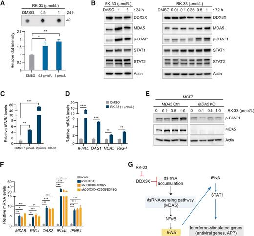 Targeting DDX3X Triggers Antitumor Immunity via a dsRNA-Mediated Tumor ...