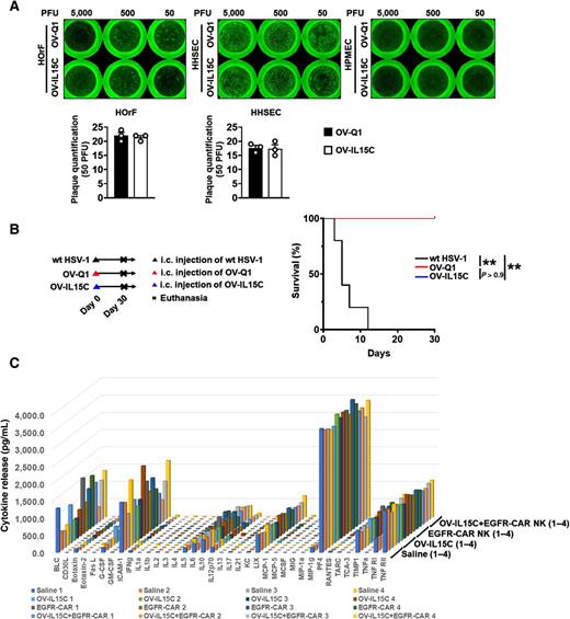An Oncolytic Virus Expressing IL15/IL15Rα Combined with Off-the-Shelf ...