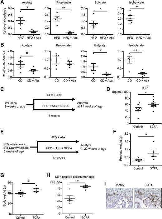 Gut Microbiota–Derived Short-Chain Fatty Acids Promote Prostate Cancer ...