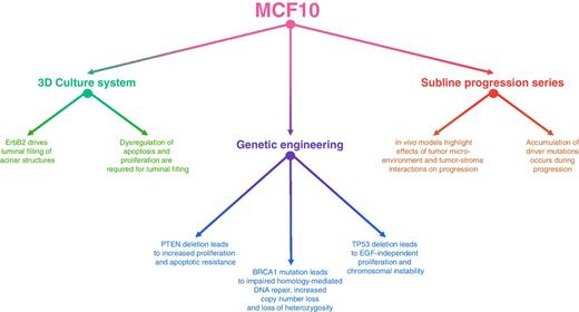 The MCF10 Model of Breast Tumor Progression | Cancer Research ...