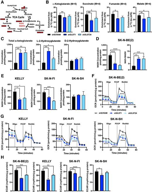 Metabolic Enzyme DLST Promotes Tumor Aggression and Reveals a ...