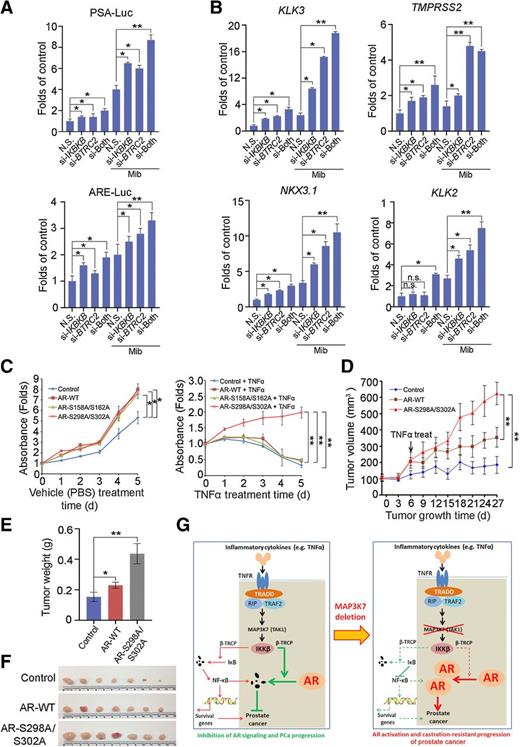 MAP3K7-IKK Inflammatory Signaling Modulates AR Protein Degradation and ...