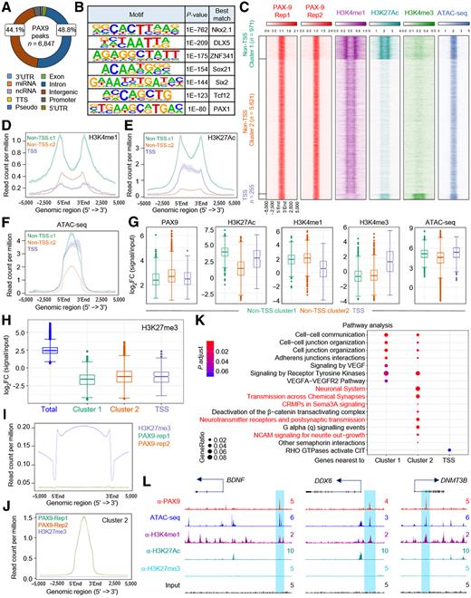 PAX9 Determines Epigenetic State Transition and Cell Fate in Cancer ...