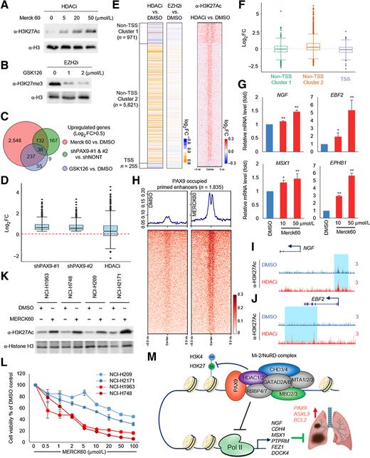 PAX9 Determines Epigenetic State Transition and Cell Fate in Cancer ...