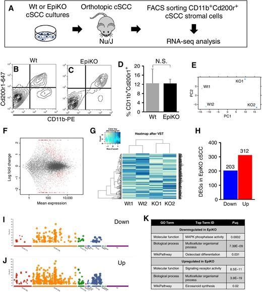The CD200–CD200R Axis Promotes Squamous Cell Carcinoma Metastasis via ...