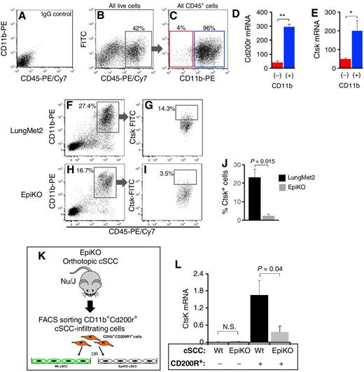 The CD200–CD200R Axis Promotes Squamous Cell Carcinoma Metastasis via ...