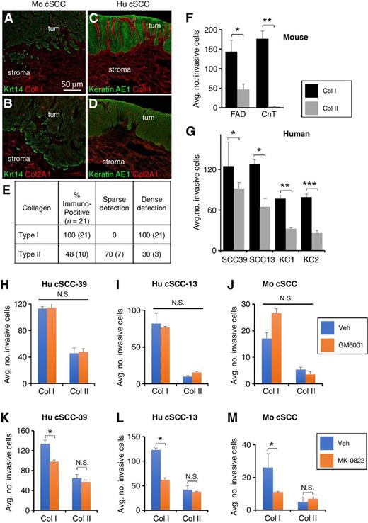The CD200–CD200R Axis Promotes Squamous Cell Carcinoma Metastasis via ...