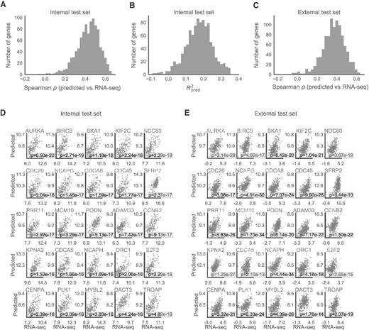 Predicting Molecular Phenotypes From Histopathology Images A