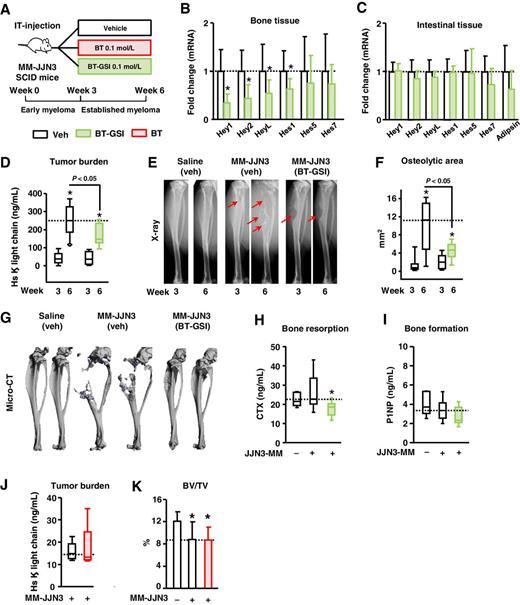 Targeting Notch Inhibitors to the Myeloma Bone Marrow Niche Decreases ...