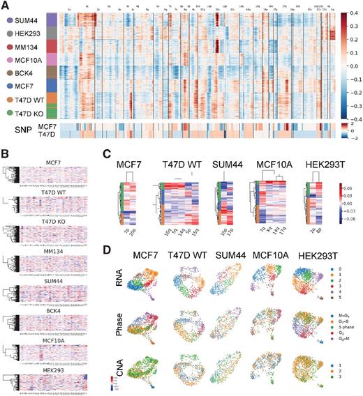 Single-Cell Transcriptomic Heterogeneity in Invasive Ductal and Lobular ...