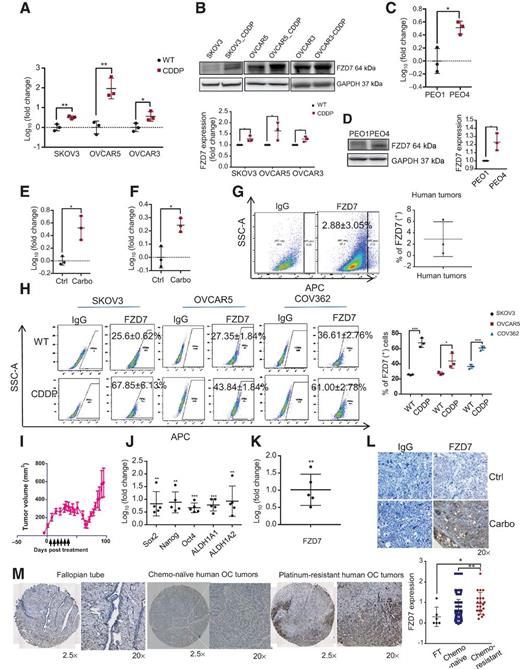 Frizzled-7 Identifies Platinum-Tolerant Ovarian Cancer Cells ...