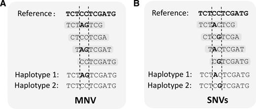 Misannotated Multi-Nucleotide Variants in Public Cancer Genomics Datasets Lead to Inaccurate ...