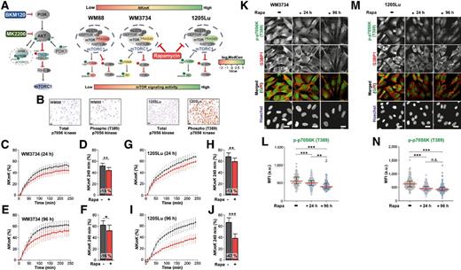 Protein Signatures of NK Cell–Mediated Melanoma Killing Predict ...