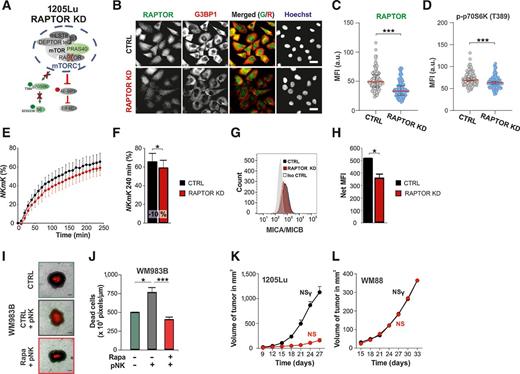 Protein Signatures of NK Cell–Mediated Melanoma Killing Predict ...