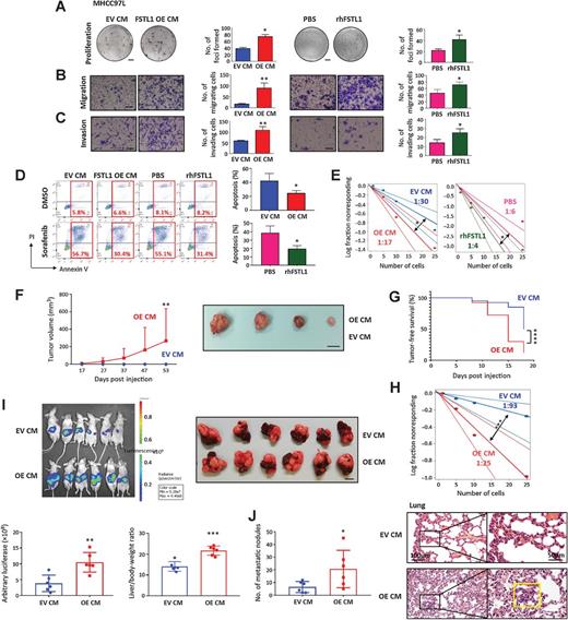 FSTL1 Secreted by Activated Fibroblasts Promotes Hepatocellular ...