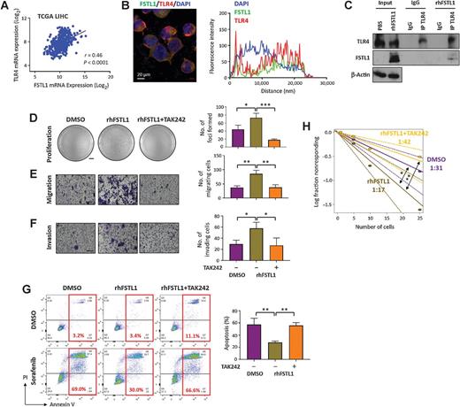 FSTL1 Secreted by Activated Fibroblasts Promotes Hepatocellular ...