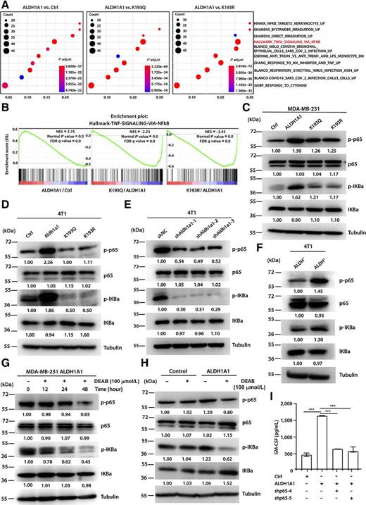 ALDH1A1 Activity in Tumor-Initiating Cells Remodels Myeloid-Derived ...