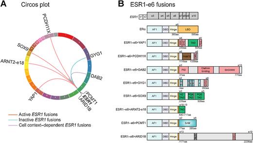 Transcriptional Reprogramming Differentiates Active from Inactive ESR1 ...