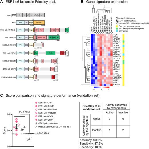 Transcriptional Reprogramming Differentiates Active from Inactive ESR1 ...