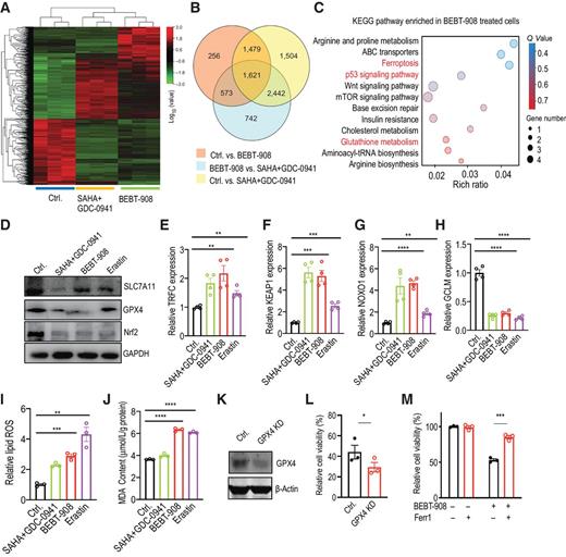A Dual PI3K/HDAC Inhibitor Induces Immunogenic Ferroptosis to ...
