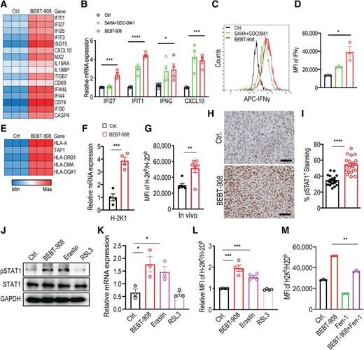 A Dual PI3K/HDAC Inhibitor Induces Immunogenic Ferroptosis to ...