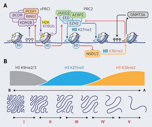 Histone H1 Mutations in Lymphoma: A Link(er) between Chromatin ...