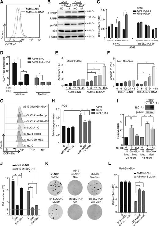 Dysregulated Glutamate Transporter SLC1A1 Propels Cystine Uptake via Xc ...