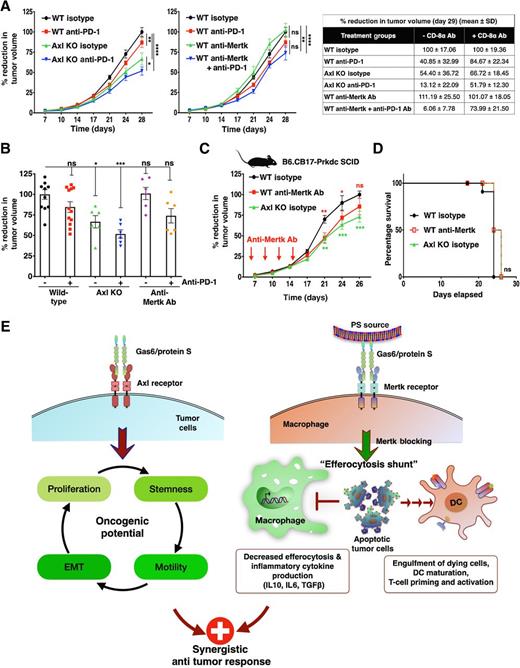 Axl and Mertk Receptors Cooperate to Promote Breast Cancer Progression ...