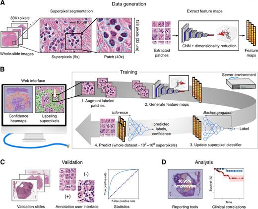 Interactive Classification of Whole-Slide Imaging Data for Cancer ...