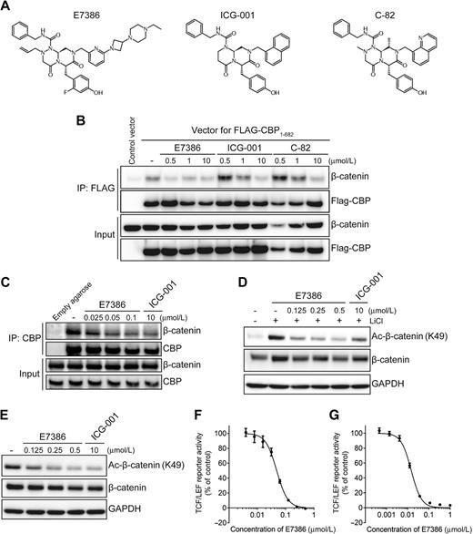 E7386, a Selective Inhibitor of the Interaction between β-Catenin and ...