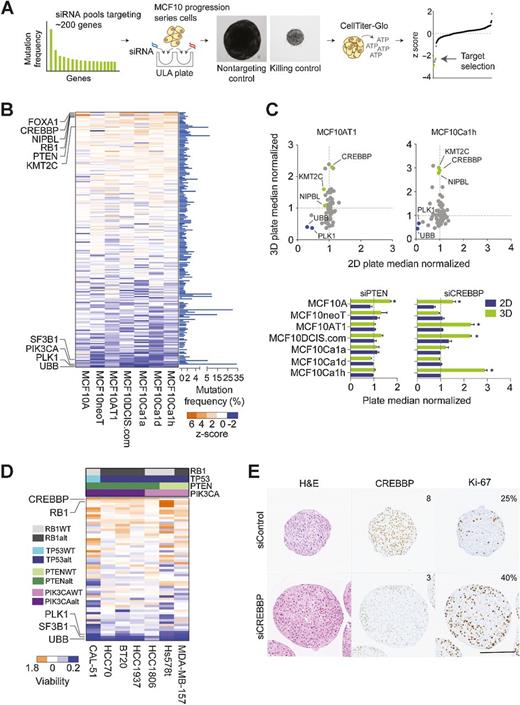 3D Functional Genomics Screens Identify CREBBP as a Targetable Driver ...
