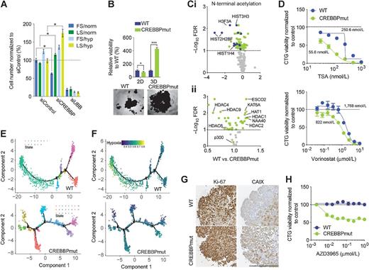 3D Functional Genomics Screens Identify CREBBP as a Targetable Driver ...