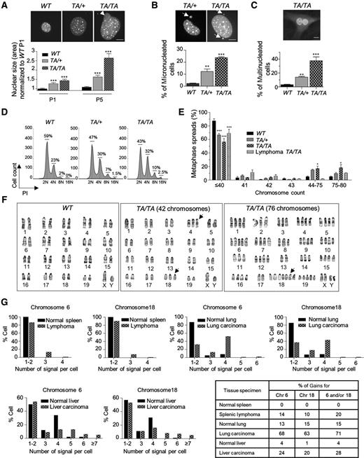 PLK1 Induces Chromosomal Instability and Overrides Cell-Cycle ...