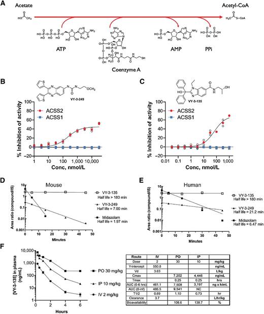 Targeting ACSS2 with a Transition-State Mimetic Inhibits Triple ...
