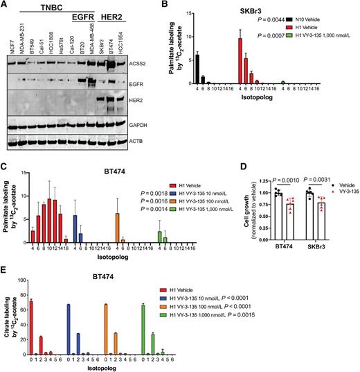 Targeting ACSS2 with a Transition-State Mimetic Inhibits Triple ...