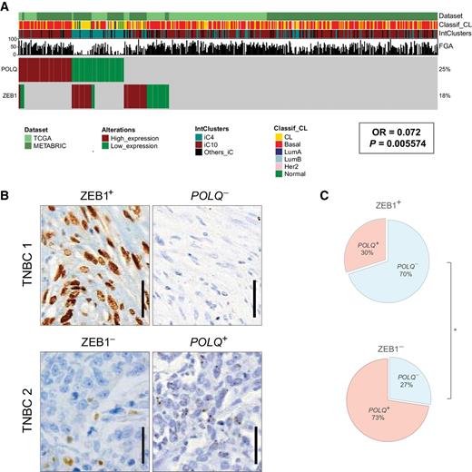 EMT Transcription Factor ZEB1 Represses the Mutagenic POLθ-Mediated End ...